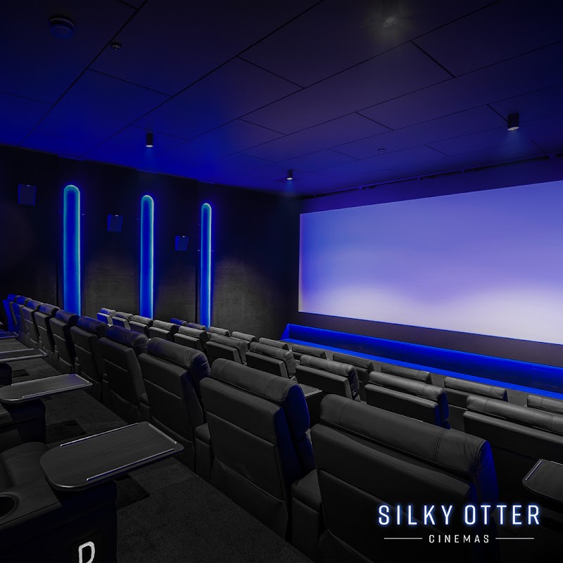 Silky Otter Cinemas Queenstown in Queenstown, Otago | Family Action