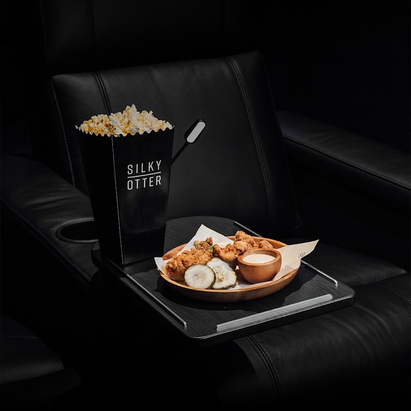 Silky Otter Cinemas Queenstown in Queenstown, Otago | Family Action